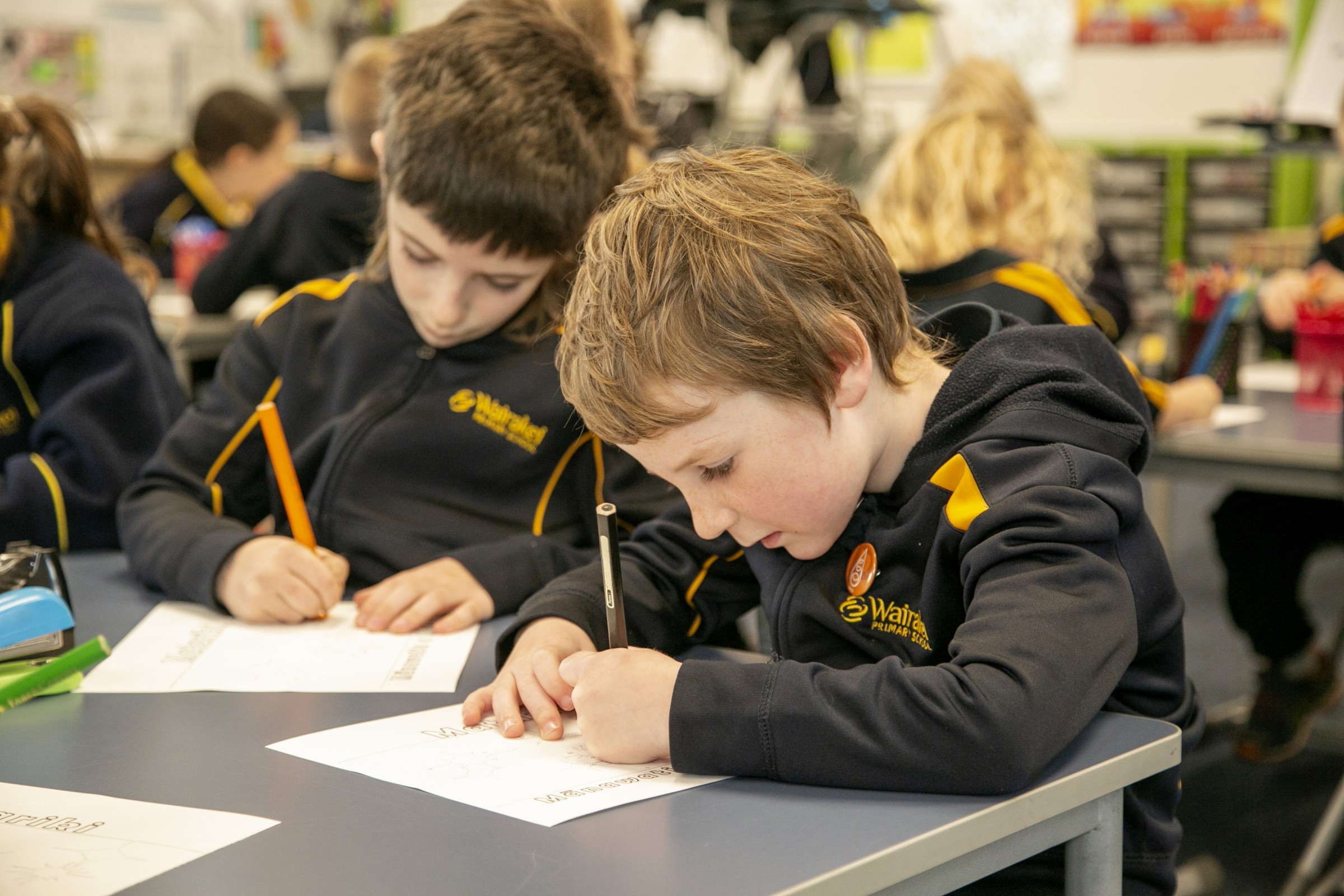 Matariki Celebration day » Wairakei Primary School