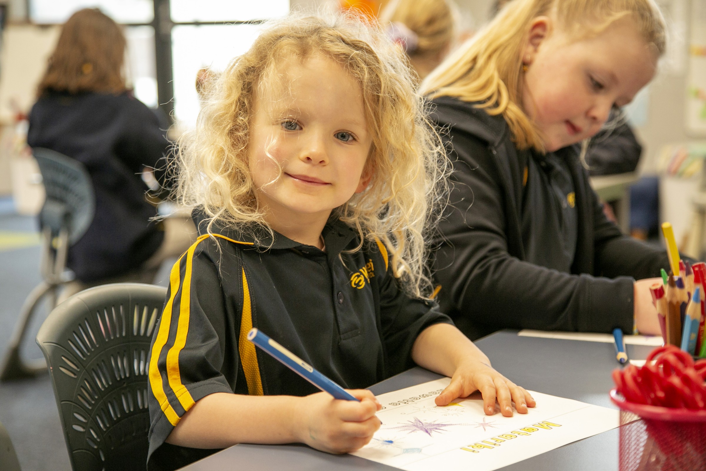 Matariki Celebration day » Wairakei Primary School