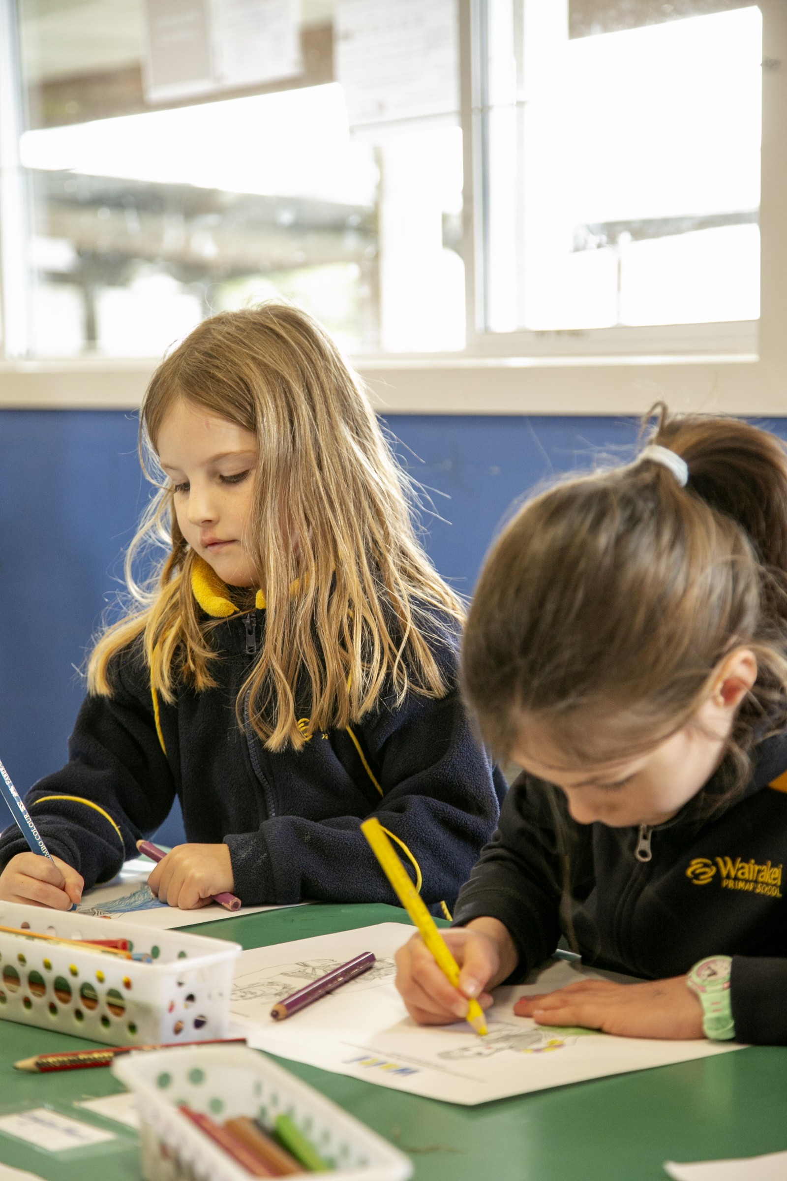 Matariki Celebration day » Wairakei Primary School