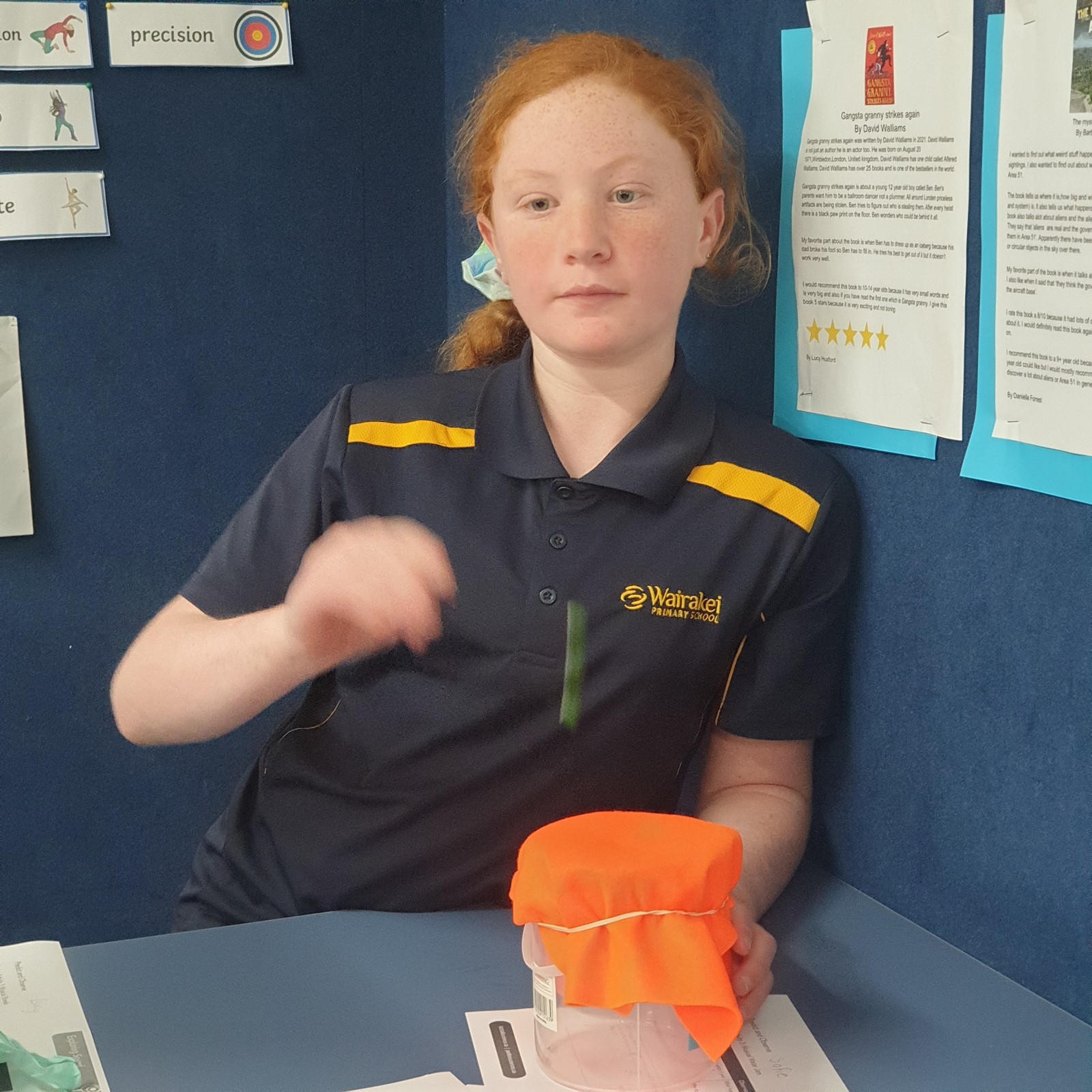 Wave Creators » Wairakei Primary School