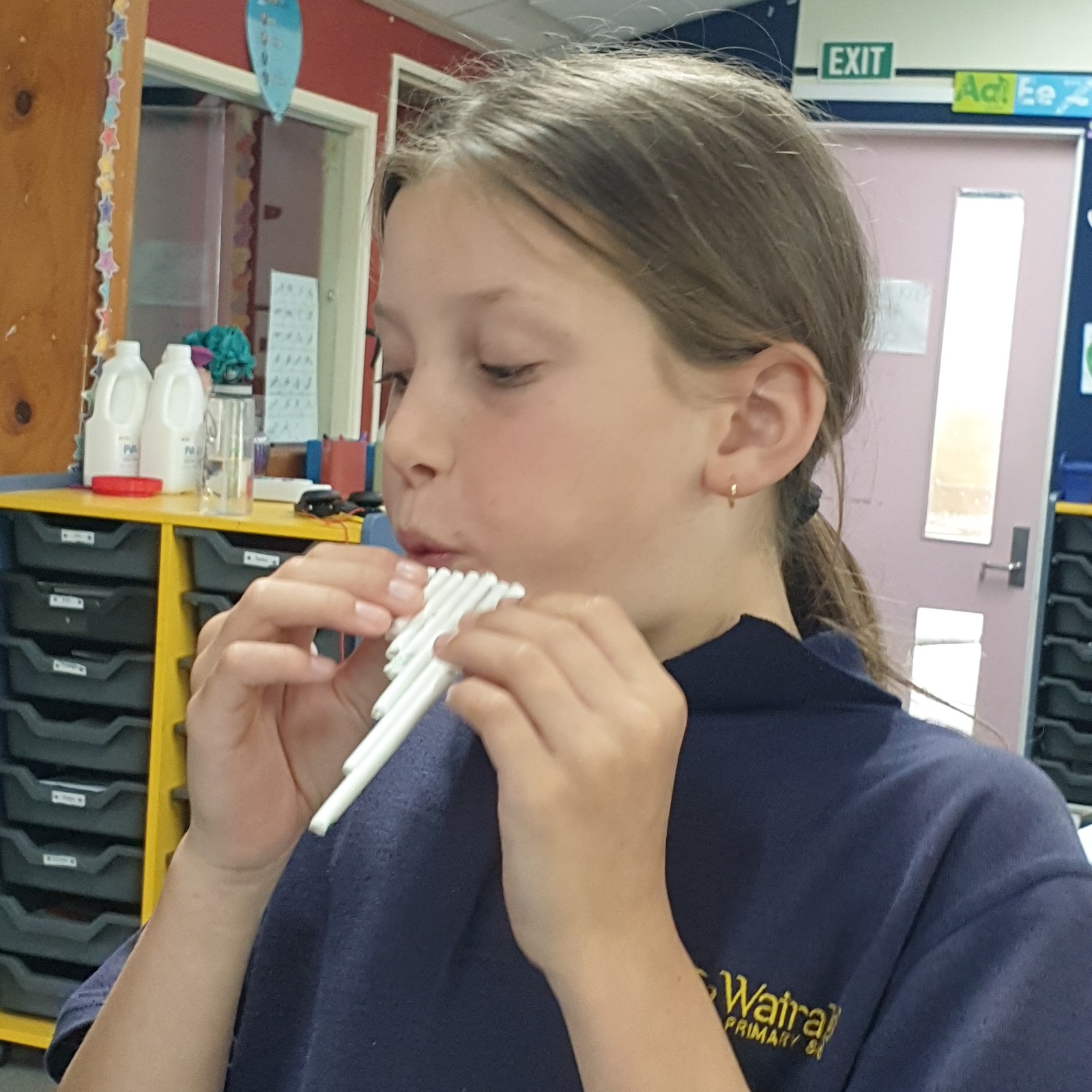 Wave Creators » Wairakei Primary School