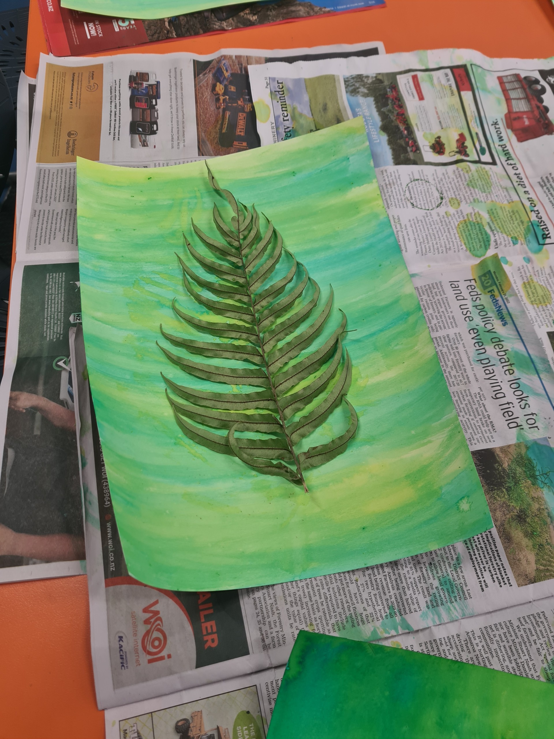 Wings of our Taonga » Wairakei Primary School