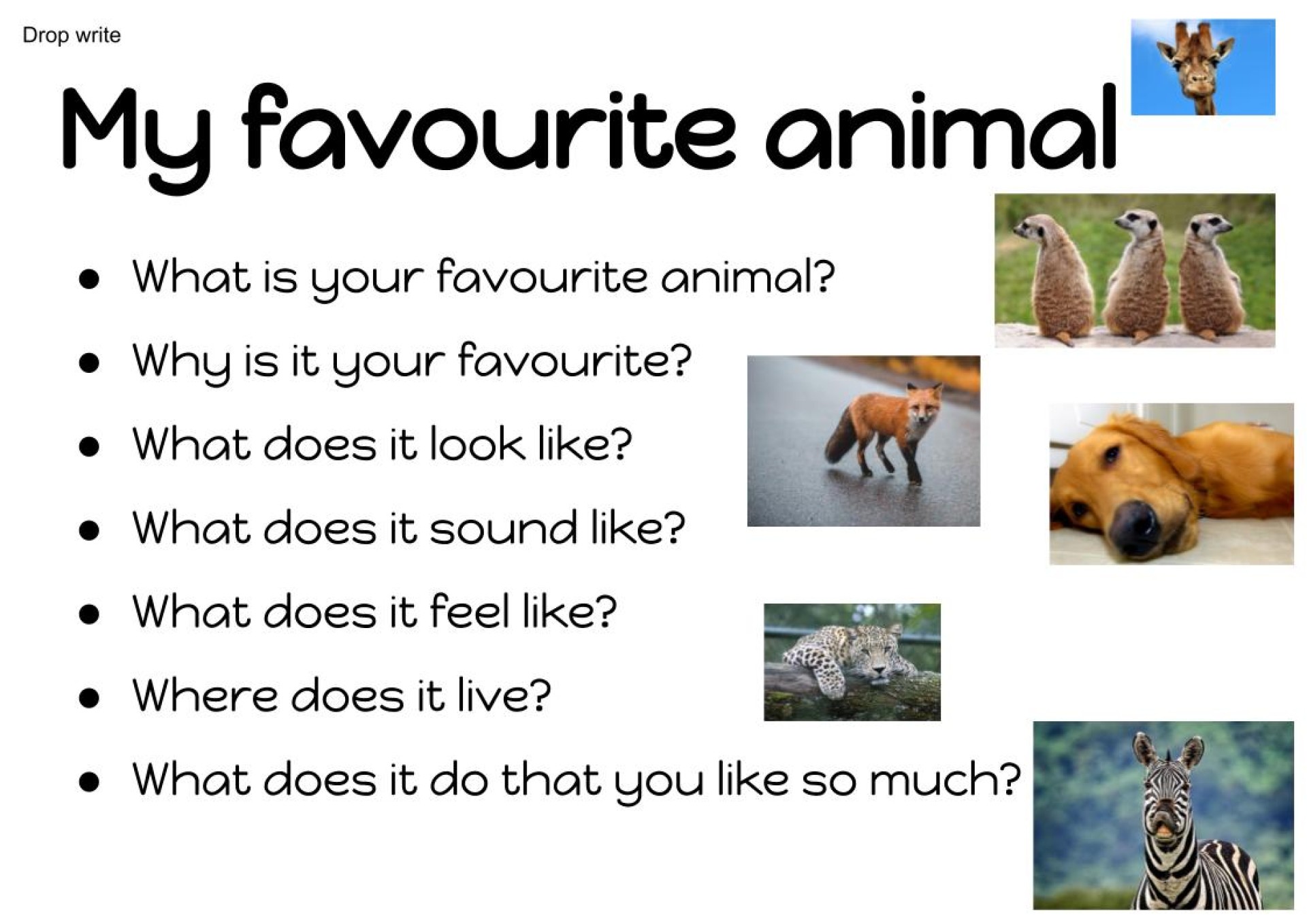 Stop, Think, Go - Drop Writing » Wairakei Primary School