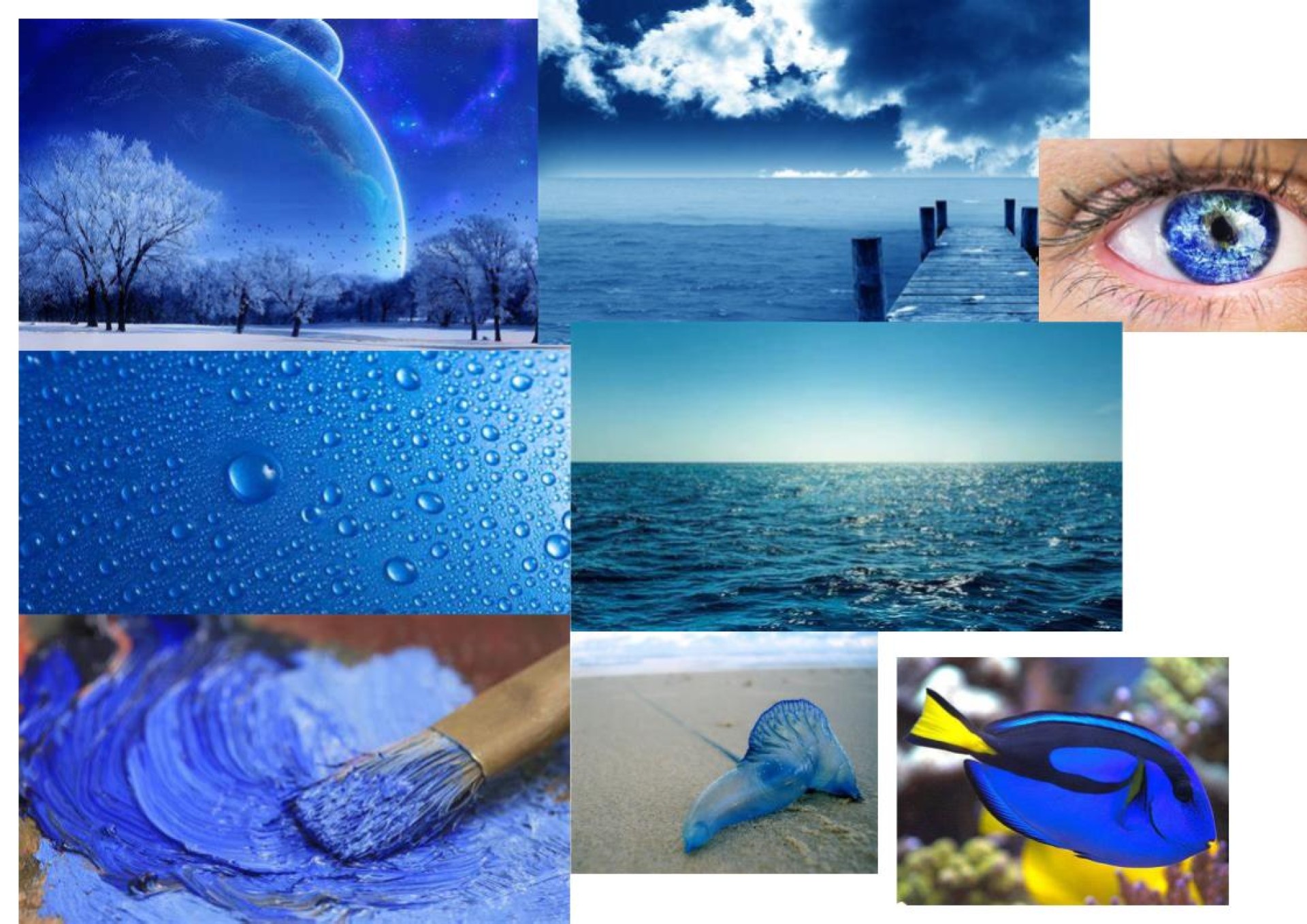 Stop, Think, Go - Drop Writing » Wairakei Primary School