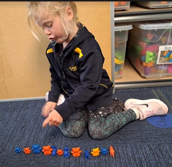 The Art of Patterns » Wairakei Primary School