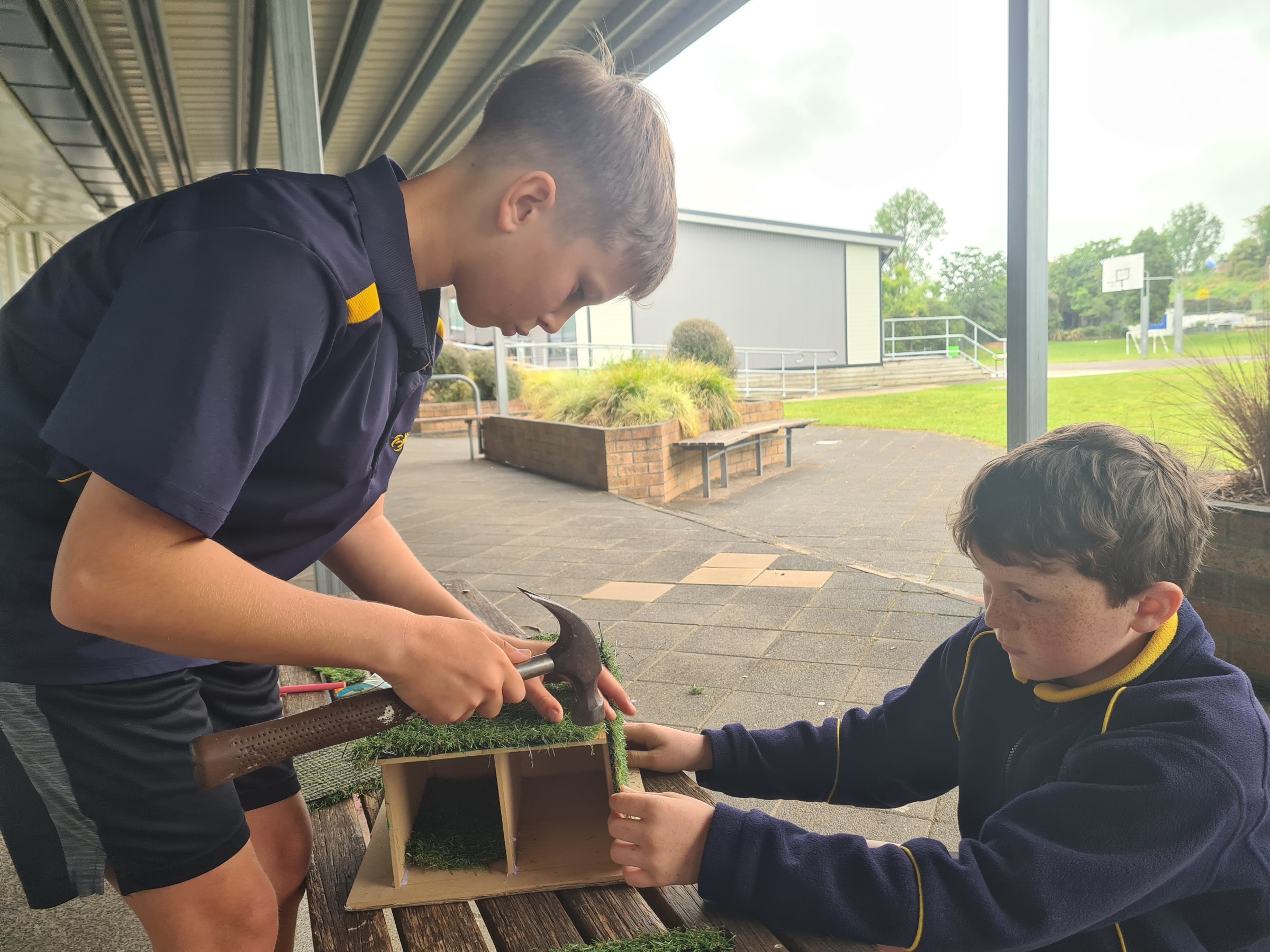 Predator Prevention » Wairakei Primary School