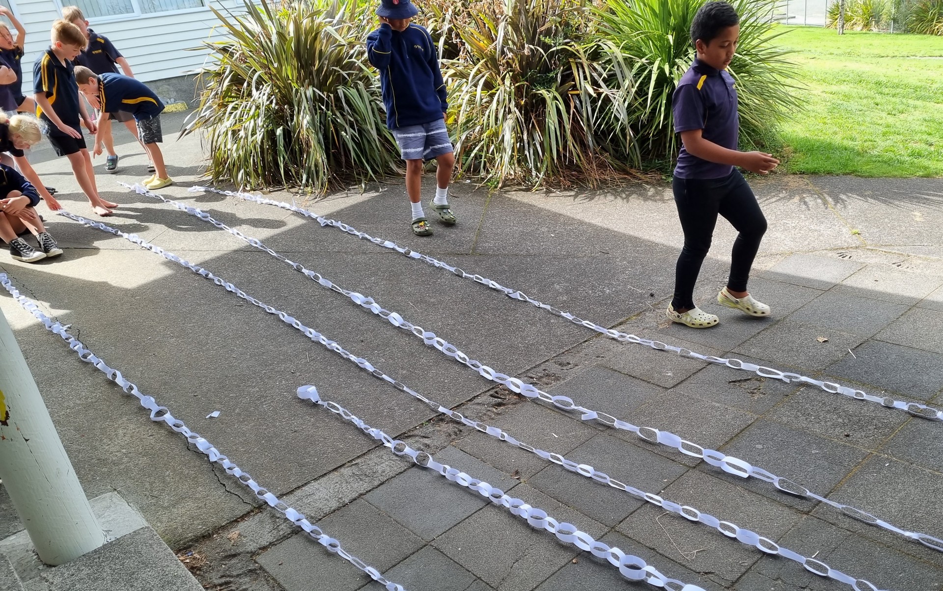 STEM - Room 6 » Wairakei Primary School