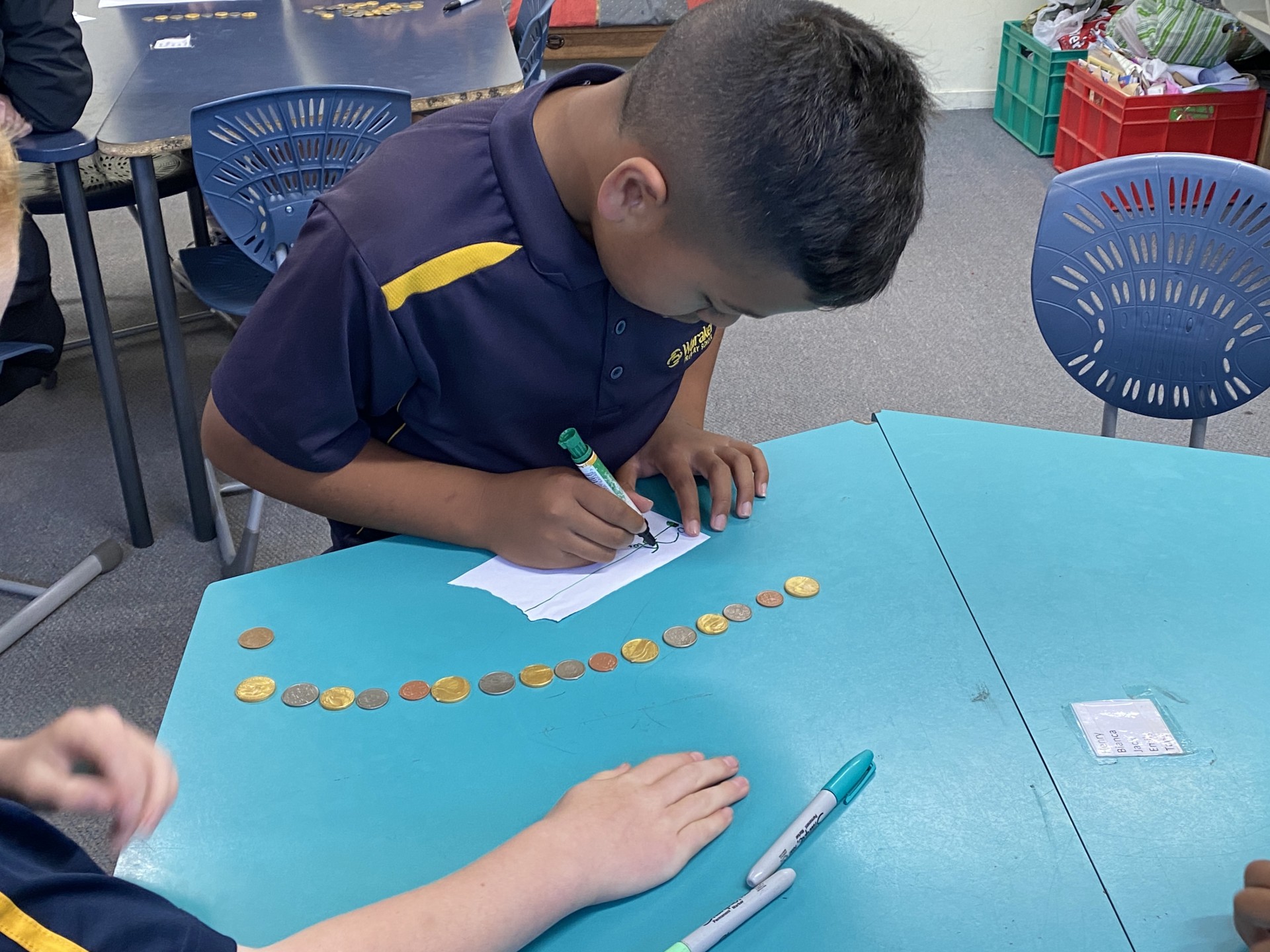 Meaty Mathematics » Wairakei Primary School