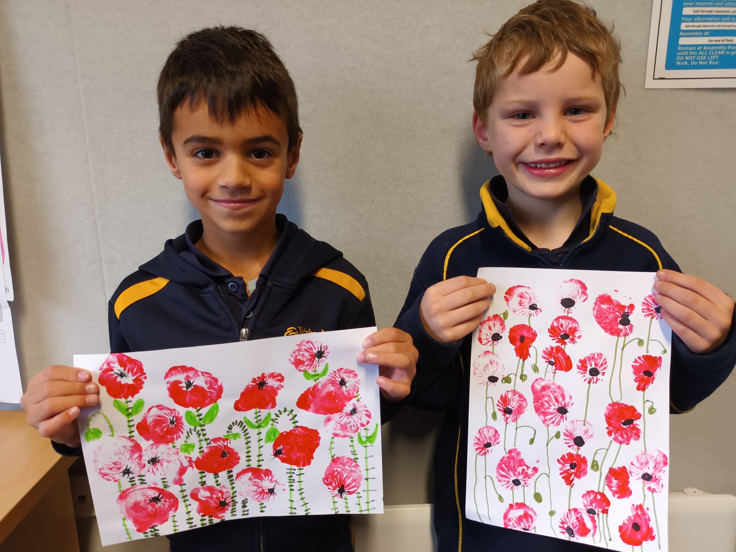 Why Wear a Poppy? » Wairakei Primary School