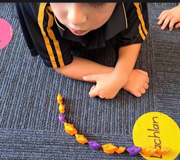 The Art of Patterns » Wairakei Primary School